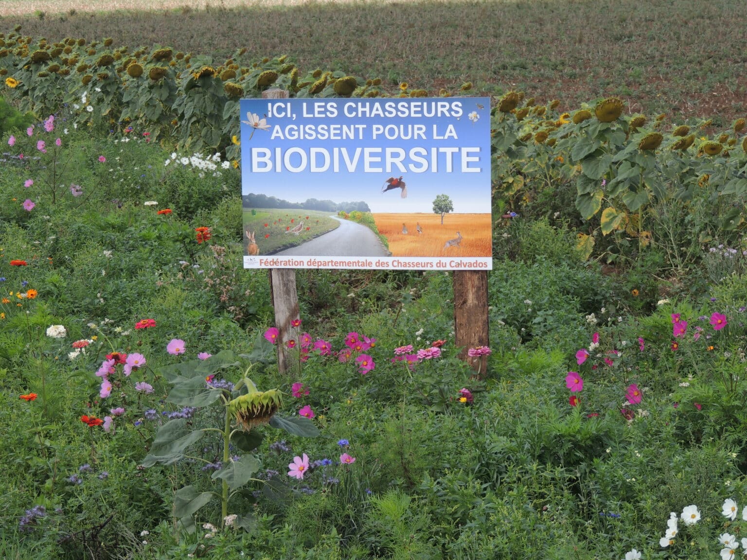 Culture à gibier - FDC 14